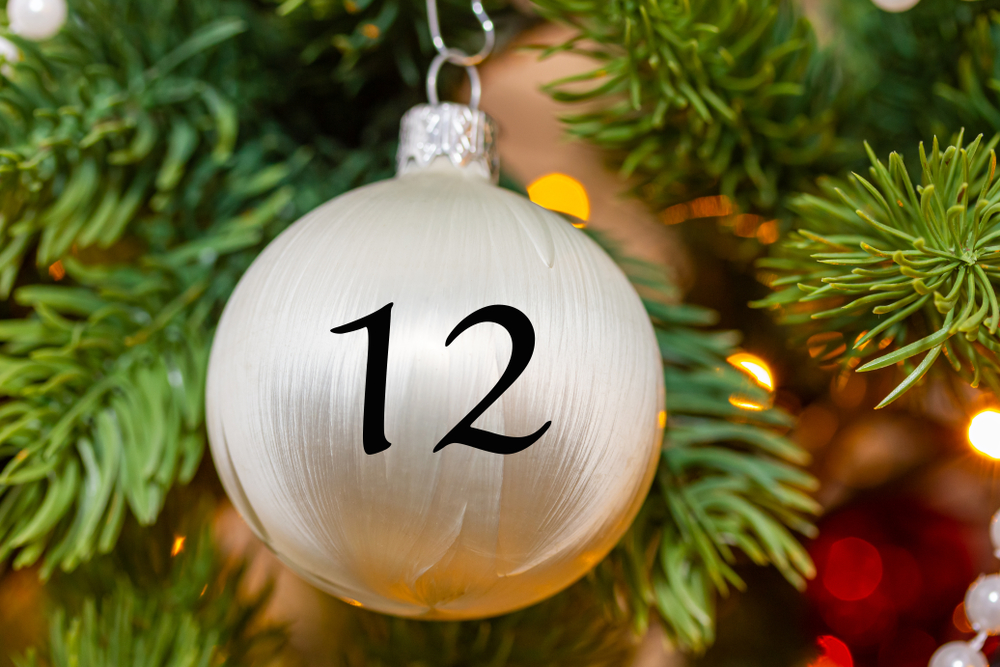CELEBRATE THE 12 DAYS OF CHRISTMAS WITH ME! – Seeking Wisdom